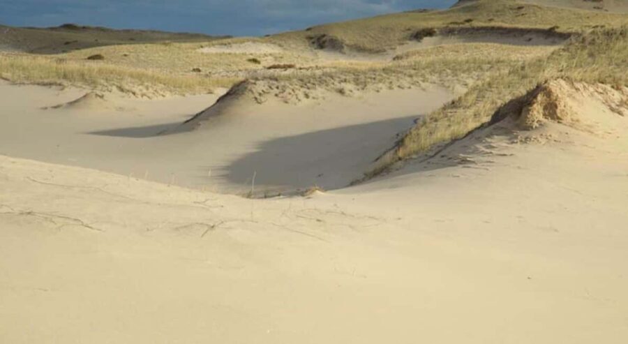 Provincetown: Cape Cod National Seashore Park Dune Tour - The Experience from the Guides’ Perspective