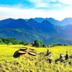 Pu Luong Amazing Morning Escape(Trekking,Rafting,Swimming, Lunch) - The Trek to Cham Stream
