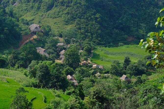 Pu Luong Nature Reserve and Ninh Binh Heritage 3 Days from Hanoi - Authentic Experiences and Insights from Travelers