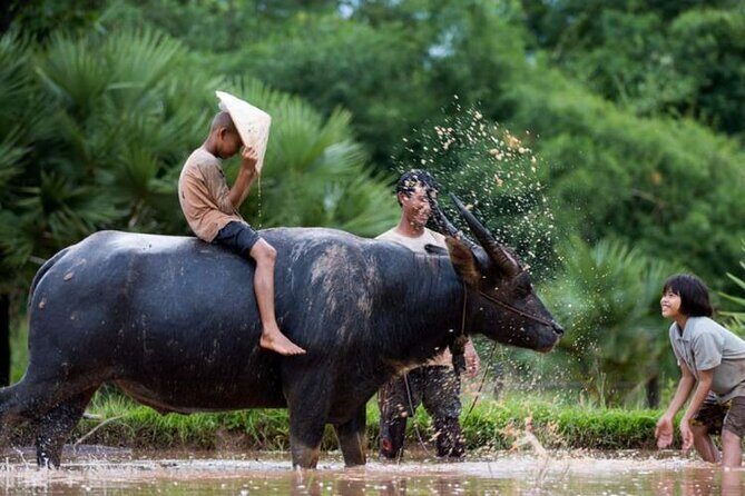 Pu Luong - Ninh Binh 3 Days 2 Nights - Join in Small Group - Day 2: Trekking and Exploring more Hidden Gems