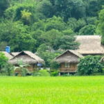 Pu Luong: Off-Road Trekking and Waterfall Tour with Lunch - Practical Details: What Travelers Should Know