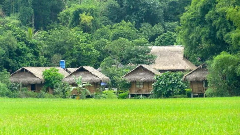 Pu Luong: Off-Road Trekking and Waterfall Tour with Lunch - Practical Details: What Travelers Should Know