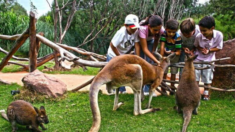 Puebla Africam Safari Park, Live an Unforgettable Adventure! - Who Will Enjoy This Tour?