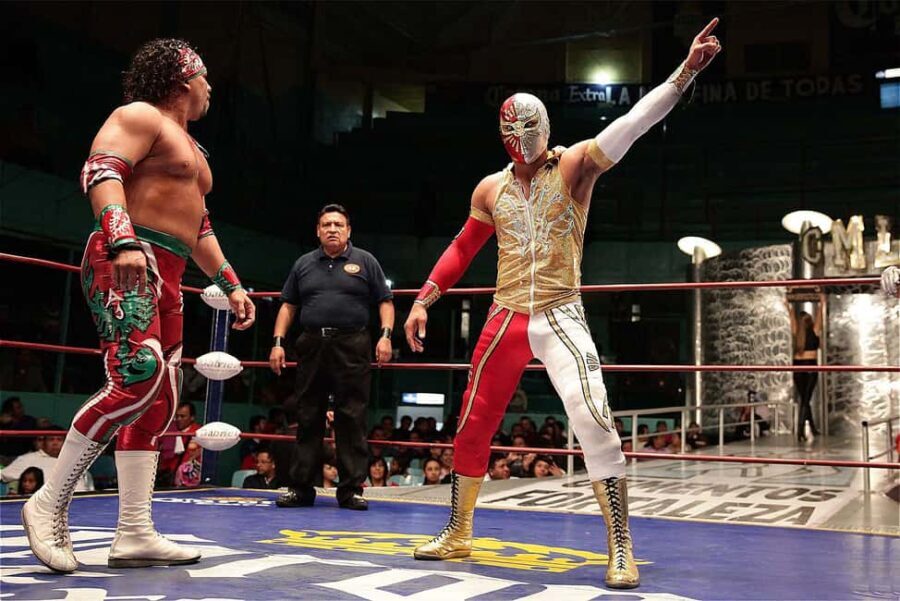Puebla: Iconic Pro Wrestling Show with Dinner & Drink - What To Expect: The Experience in Detail