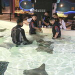 Puebla: Ticket to Aquarium Michin - How the Visit is Structured and What You’ll Experience