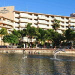 Puerto Aventuras: Amazing Dolphin Encounter with Lunch - How Does the Experience Compare in Value?