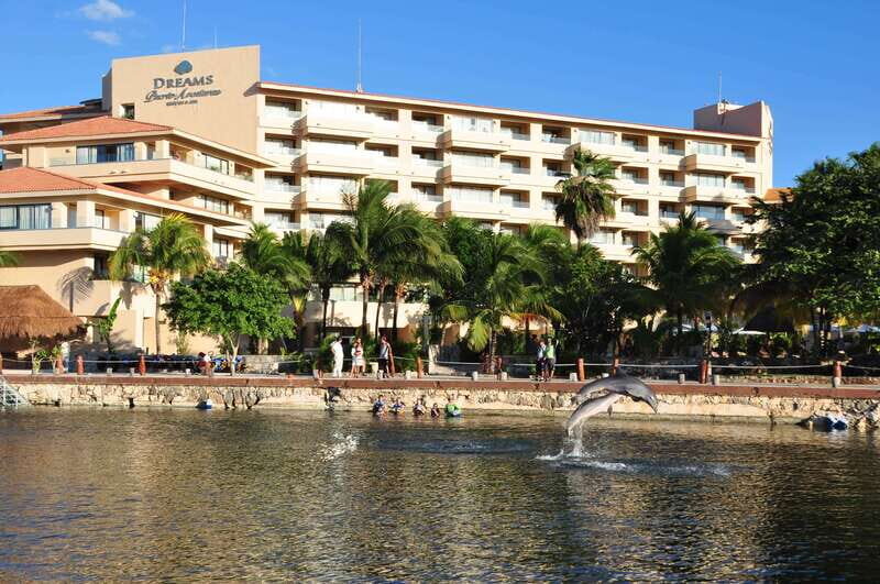 Puerto Aventuras: Amazing Dolphin Encounter with Lunch - How Does the Experience Compare in Value?