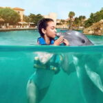 Puerto Aventuras: Dolphin Encounter with Buffet Lunch - The Value of This Tour