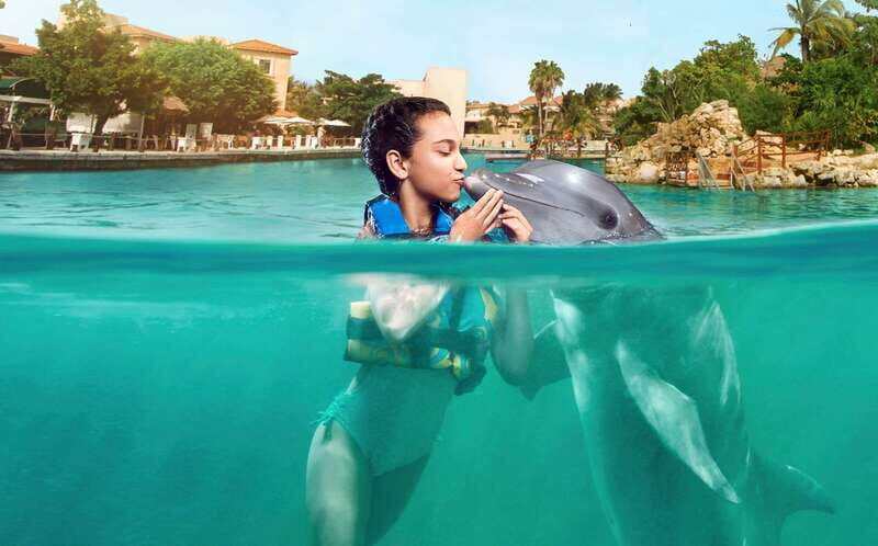 Puerto Aventuras: Dolphin Encounter with Buffet Lunch - The Value of This Tour