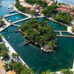 Puerto Aventuras: Dolphin & Manatee Encounter with lunch - An Up-Close Look at the Tour