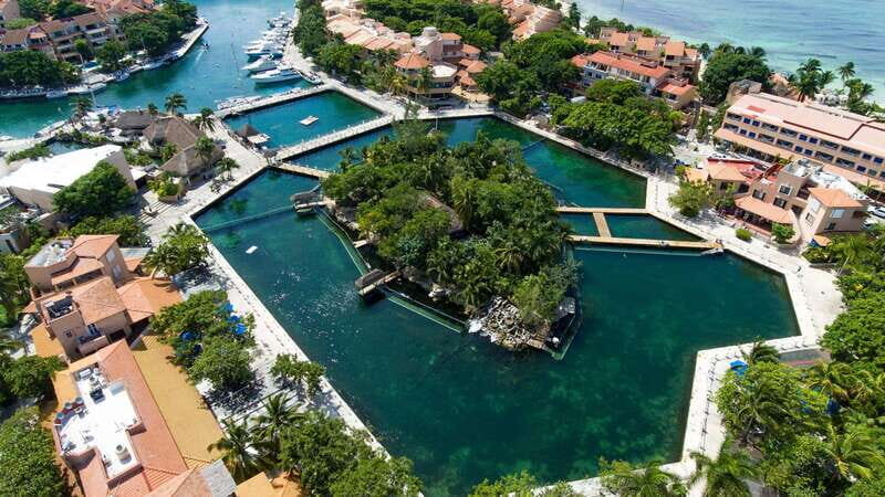 Puerto Aventuras: Dolphin & Manatee Encounter with lunch - An Up-Close Look at the Tour
