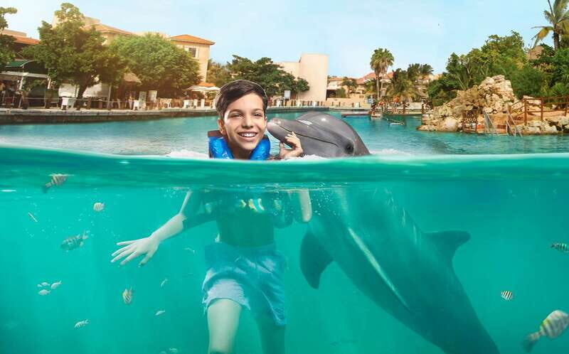 Puerto Aventuras: Dolphin Swim, Sea Lions, Manatees, & Lunch - Analyzing Value & Practical Considerations