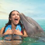 Puerto Aventuras: Dolphins, Manatee & Sea Lion interaction - How Does the Price Compare?