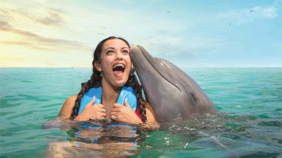 Puerto Aventuras: Dolphins, Manatee & Sea Lion interaction - How Does the Price Compare?