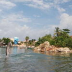 Puerto Aventuras: Manatee Encounter - How Does the Price Stack Up?