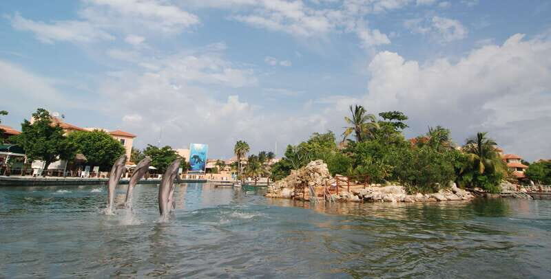 Puerto Aventuras: Manatee Encounter - How Does the Price Stack Up?