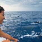 Puerto Escondido: Boat Tour among Dolphins and Turtles - Who Should Take This Tour?