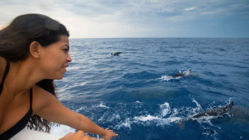Puerto Escondido: Boat Tour among Dolphins and Turtles - Who Should Take This Tour?