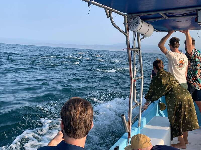 Puerto Escondido: Boat Tour to see Dolphins and Marine Life - The Itinerary in Detail