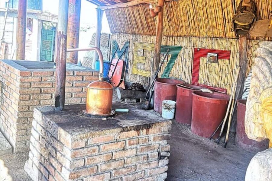 Puerto Escondido: Mezcal, Coffee, and Pedal Loom Factory - Practical Details and What to Expect