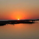 Puerto Escondido: Turtle Release and Bioluminescent Plankton - What the Tour Includes and What to Expect