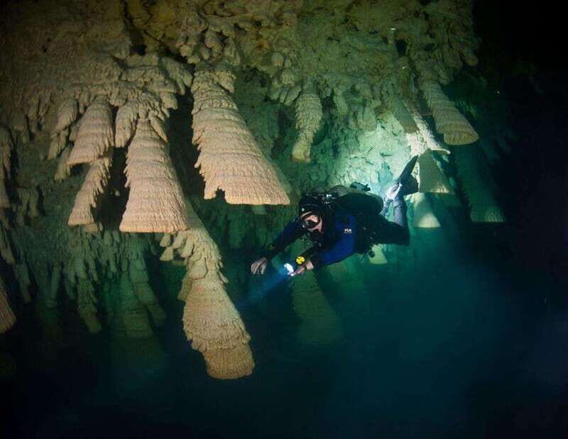 Puerto Morelo: Cenote Diving - A Closer Look at the Itinerary