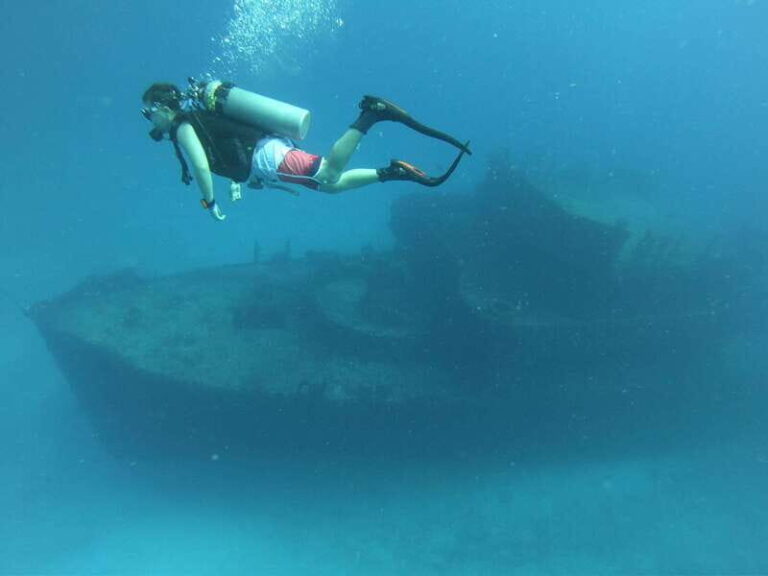 Puerto Morelos: C-56 Shipwreck & Reef for Certified Divers - Who is This Tour Best For?