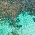 Puerto Morelos Catamaran Reef Sail and Snorkel - Transport and Practicalities
