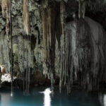 Puerto Morelos: Extreme ATVs, Zipline and Cenote Tour - Who Will Love This Tour?