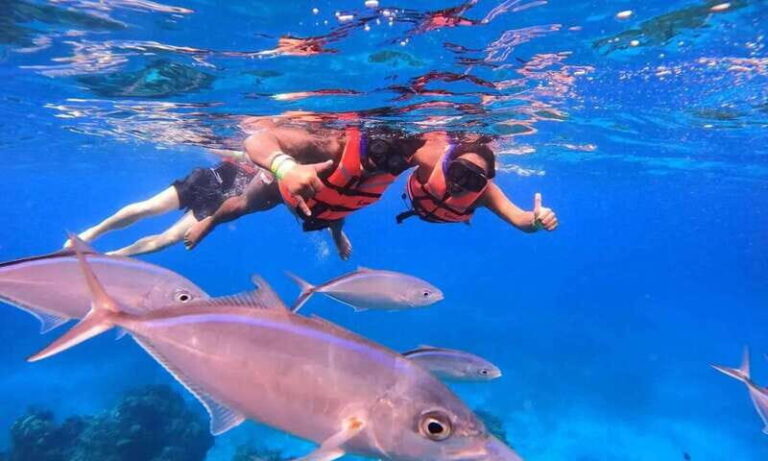 Puerto Morelos: Guided Snorkeling Tour with Gear & Fees - Authentic Voices: The Honest Feedback