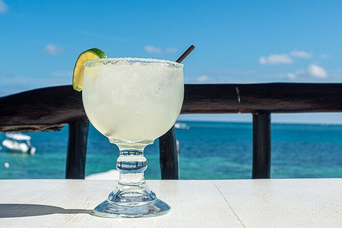 Puerto Morelos Reef Snorkeling Tour with Lunch & Hotel Pickup - The Reef Experience: What You Will See