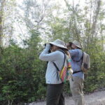 Puerto Morelos: Ruta de los Cenotes Birdwatching Tour - Exploring the Ruta de los Cenotes Birdwatching Tour