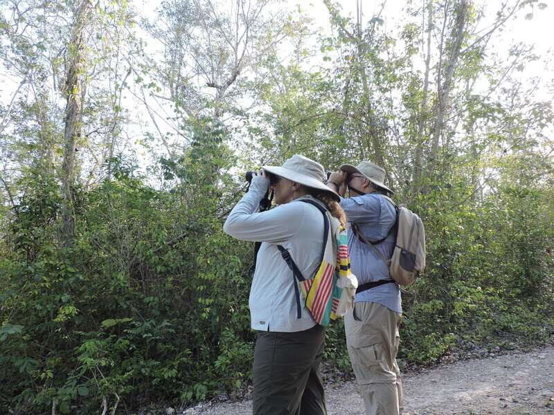 Puerto Morelos: Ruta de los Cenotes Birdwatching Tour - Exploring the Ruta de los Cenotes Birdwatching Tour