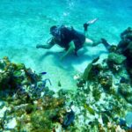 Puerto Morelos: Scuba Experience with Gear & Instructor - FAQ Section