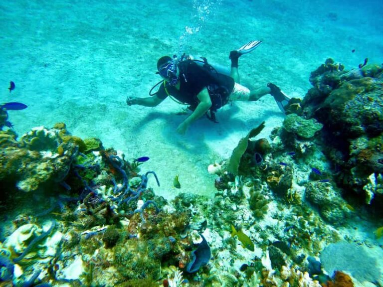 Puerto Morelos: Scuba Experience with Gear & Instructor - FAQ Section