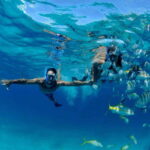 Puerto Morelos: Snorkeling at The National Reef Park - Why This Tour Stands Out