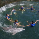 Puerto Morelos: Swim with Dolphins - Who Is This Tour Best For?