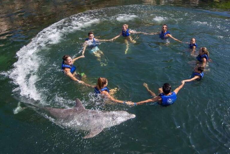 Puerto Morelos: Swim with Dolphins - Who Is This Tour Best For?