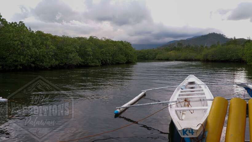 Puerto Princesa: Firefly Watching Paddle Boat Tour & Dinner - What Makes This Tour Special?