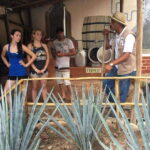Puerto Vallarta: ATV El Eden and Zip Line Experience - What This Tour Means for You