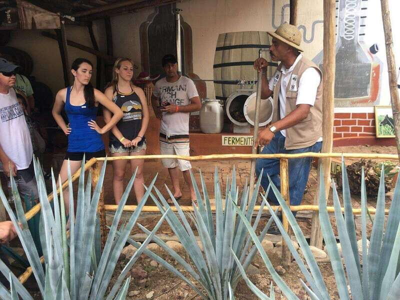 Puerto Vallarta: ATV El Eden and Zip Line Experience - What This Tour Means for You