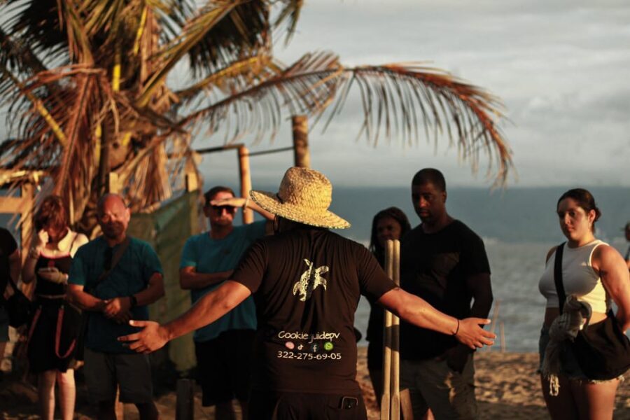 Puerto Vallarta: Baby Turtle Release in Conservation Area - Is the Tour Worth the Price?
