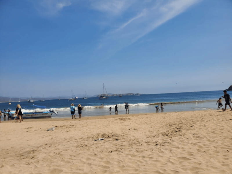 Puerto Vallarta: Beach Tour Experience - Detailed Breakdown of the Itinerary