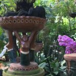 Puerto Vallarta Botanical Garden Tour with University Biologist - The Value of the Experience