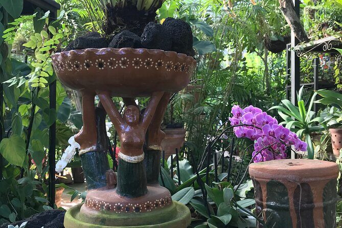 Puerto Vallarta Botanical Garden Tour with University Biologist - The Value of the Experience