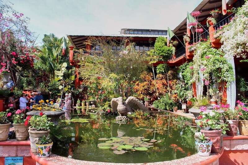 Puerto Vallarta: Botanical Gardens, Distillery & Coffee Tour - The Value of the Tour