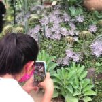 Puerto Vallarta Botanical Gardens Hiking Tour - Scenic River Hike and Private Trails