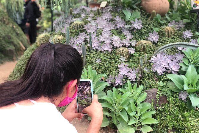 Puerto Vallarta Botanical Gardens Hiking Tour - Scenic River Hike and Private Trails
