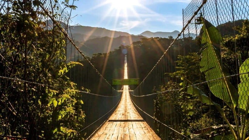 Puerto Vallarta: Canopy River + Jorullo Bridge Pass - What to Expect During the Tour