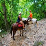 Puerto Vallarta Canopy Tour: Zip-lines and mule ride at the Sierra - What to Expect and Practical Considerations
